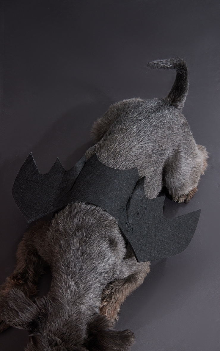 Dog Bat Wings Halloween Costume | Home | PrettyLittleThing AUS