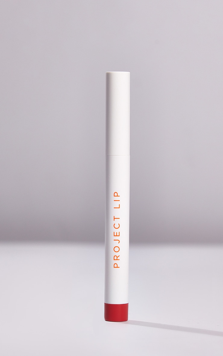 Project Lip Plump & Fill Lip Liner Flirt | Beauty | PLT