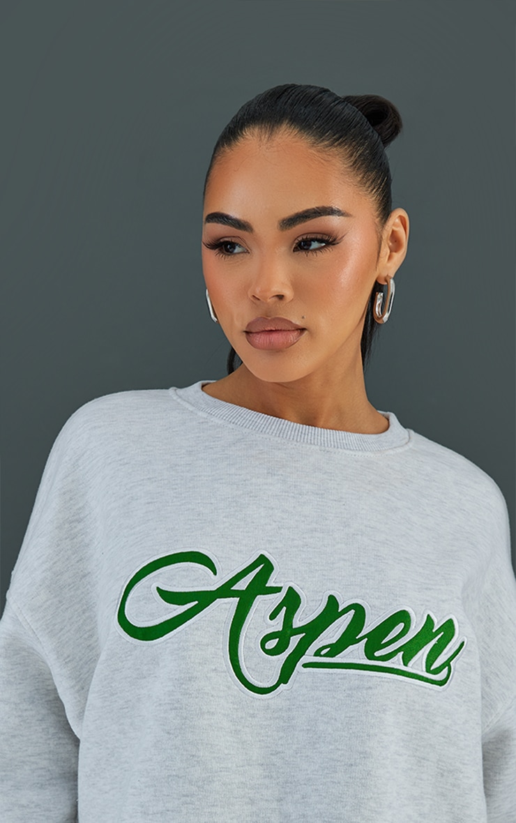 Ash Grey Aspen Borg Applique Oversized Sweatshirt | Athleisure | PLT
