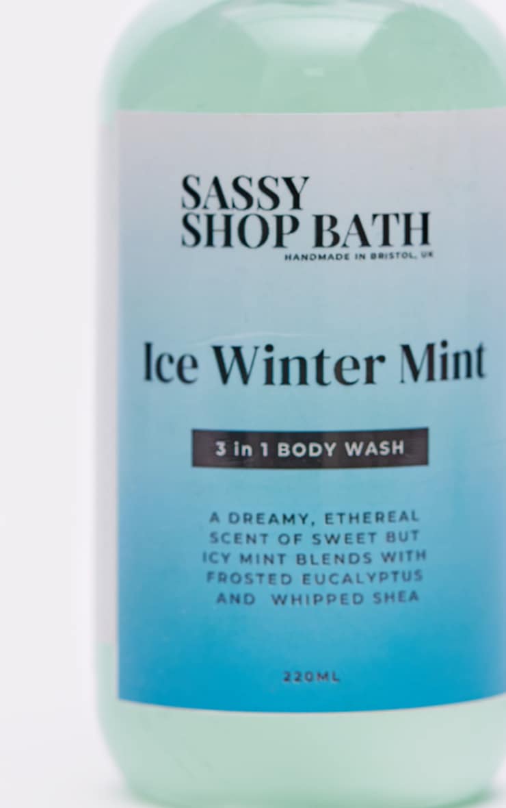Sassy Wax Ice Winter Mint 3 In 1 Wash | PLT