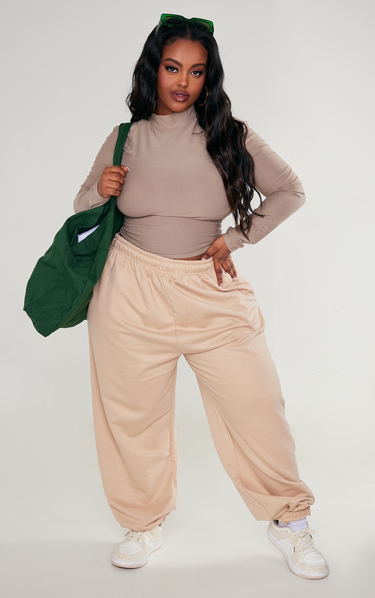 Plus Mocha Soft Touch Long Sleeve High Neck Top | PrettyLittleThing AUS