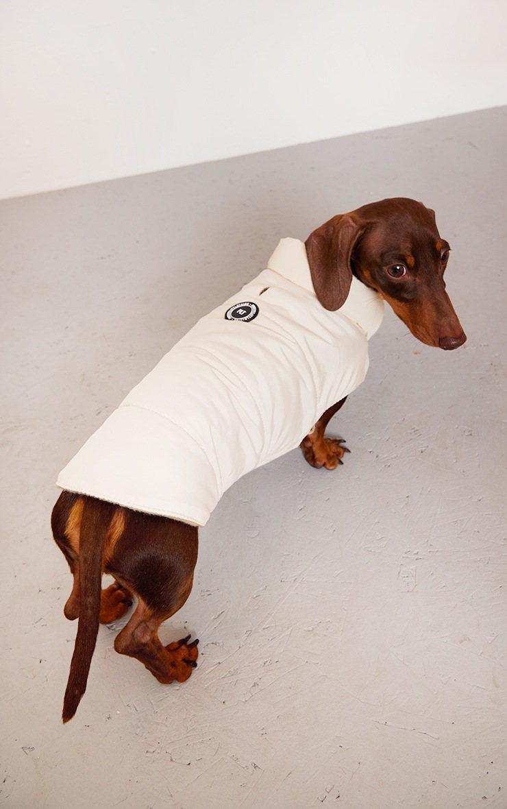 PRETTYLITTLETHING Cream Padded Dog Coat | Accessories | PLT USA