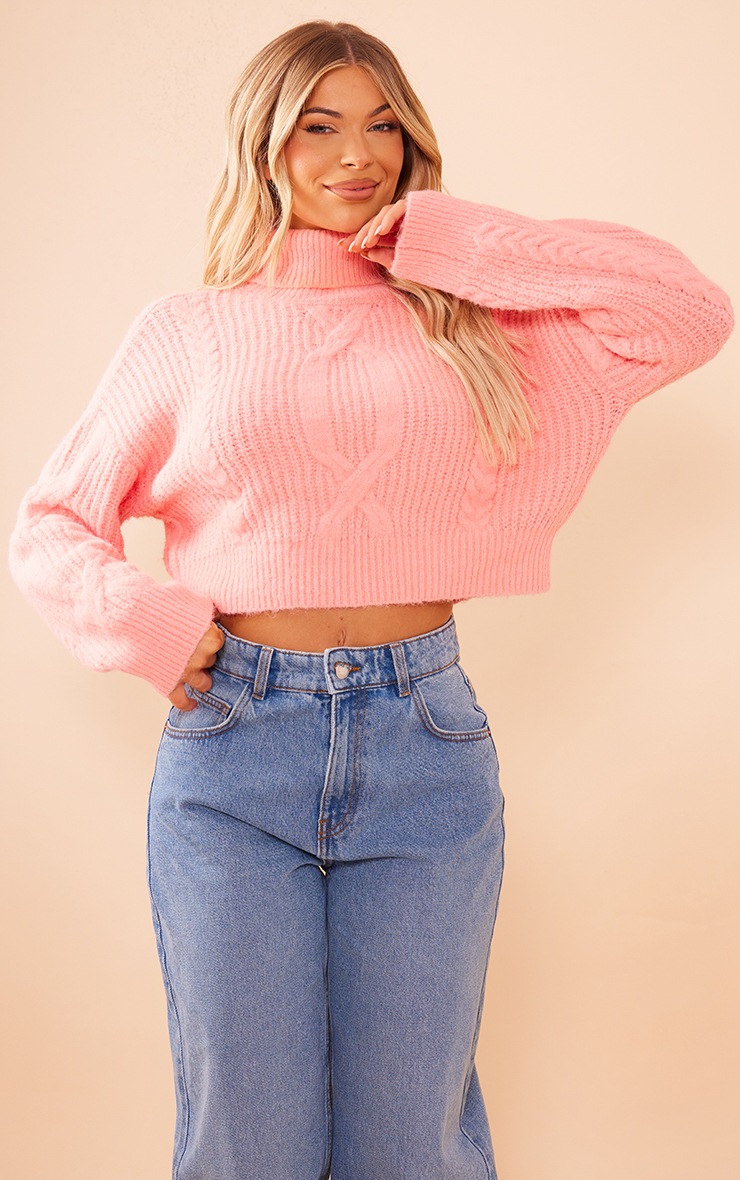 Coral Soft Cable Knit Roll Neck Crop Sweater | Knitwear ...