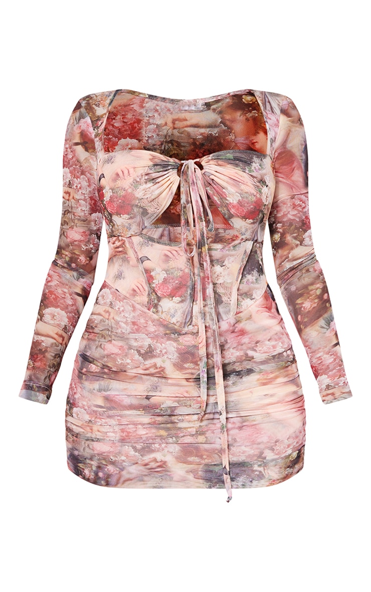 Shape Rose Mesh Corset Cut Out Bodycon Dress | Shape ...