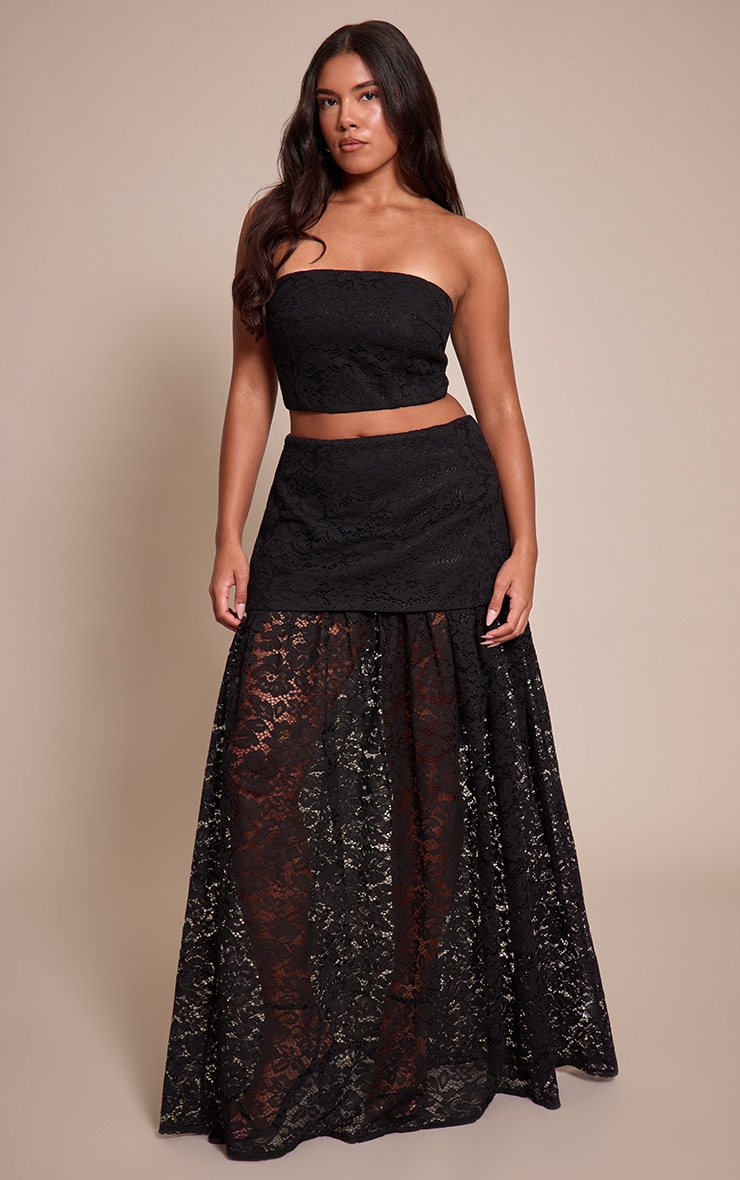 Shape Black Lace Bandeau Crop Top | Shape | PLT USA