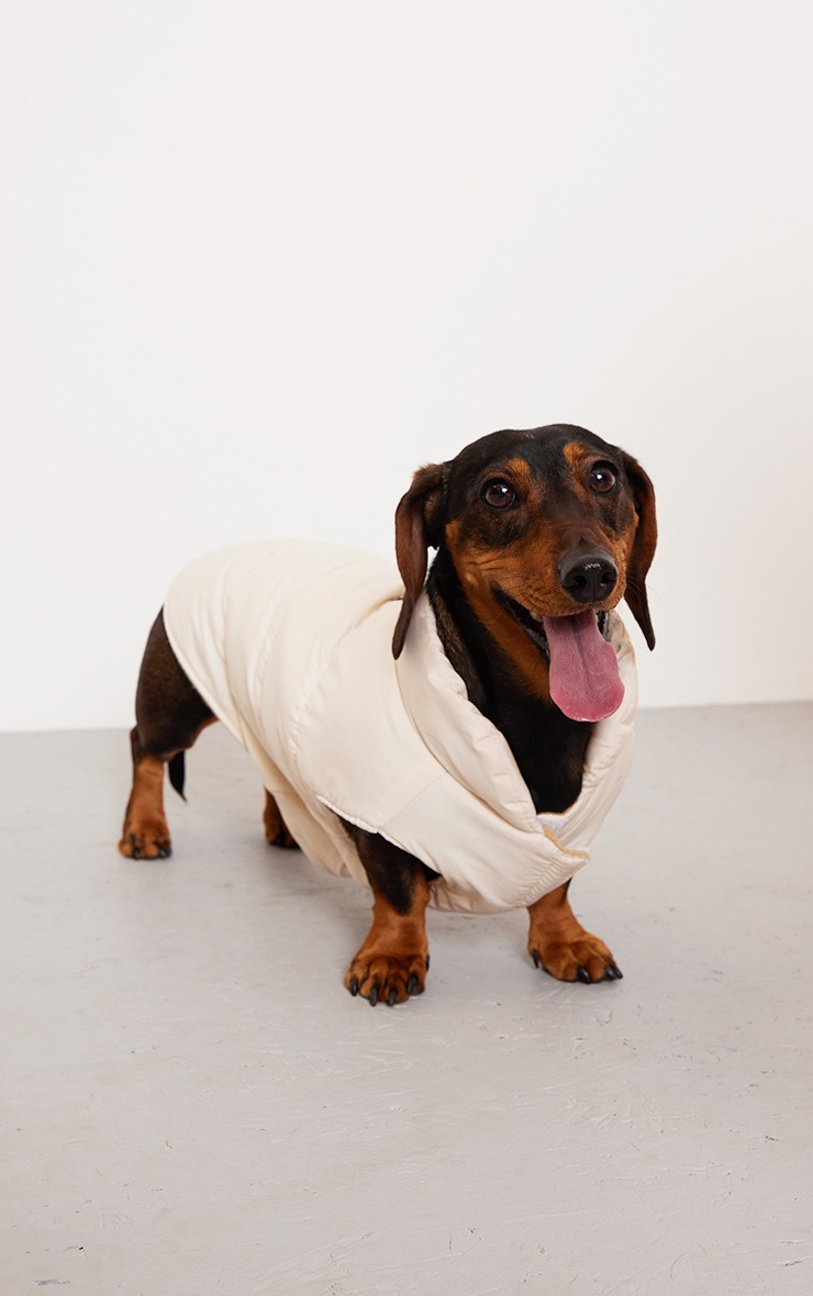 PRETTYLITTLETHING Cream Padded Dog Coat | Accessories | PLT USA