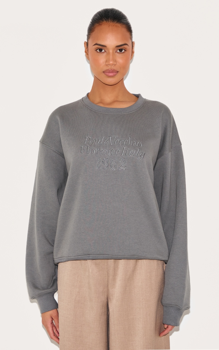 Grey Embroidered Boxy Sweatshirt | Athleisure | PLT