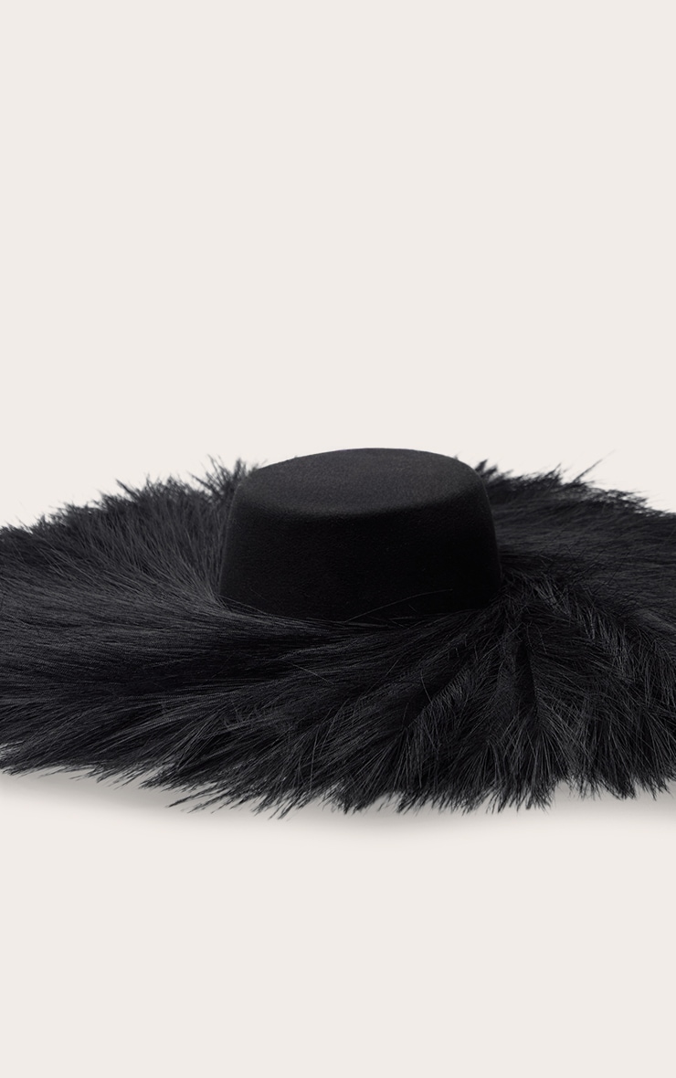 Black Feather Trim Fedora | Accessories | PLT IRE
