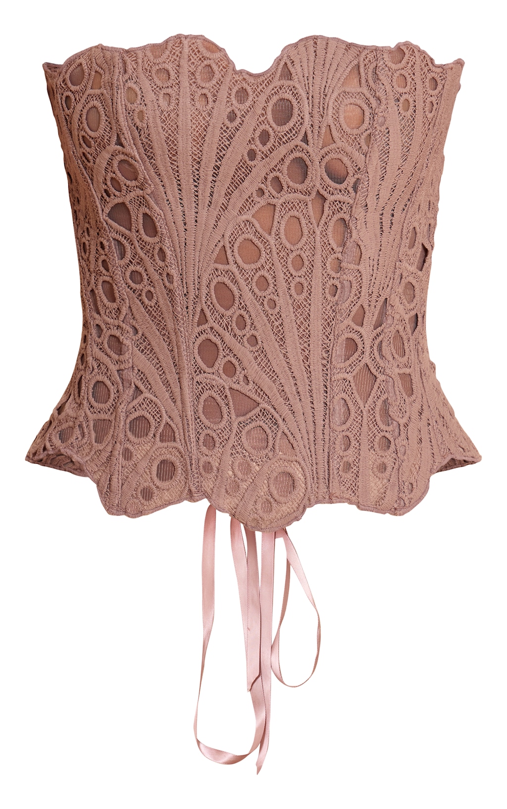 Mushroom Textured Sheer Floral Lace Corset | Tops | PLT
