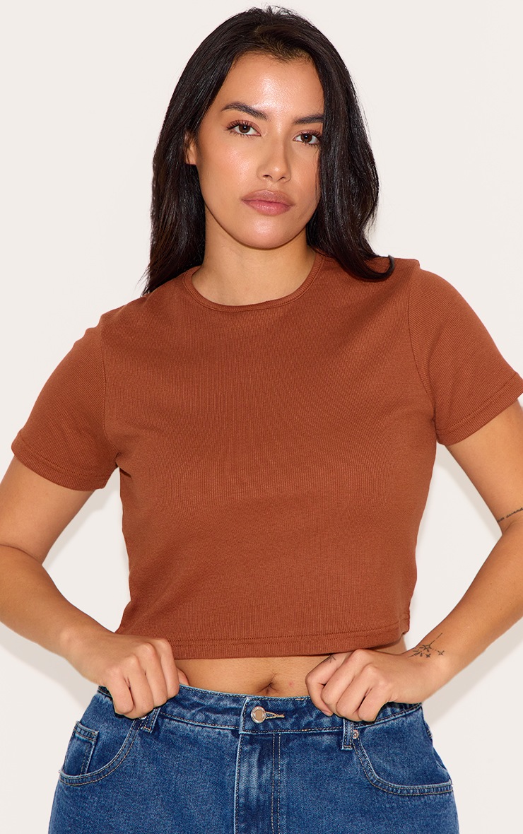 Plus Rust Basic Rib Short Sleeve Crop Top | Plus Size | PLT