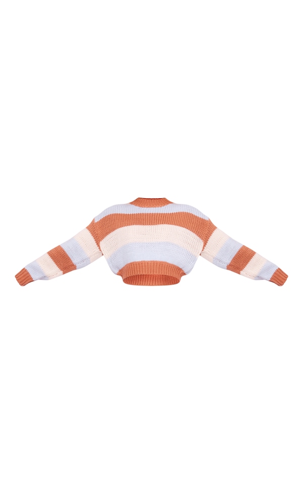Brown Chunky Striped Knit Cropped Jumper | Knitwear | PLT