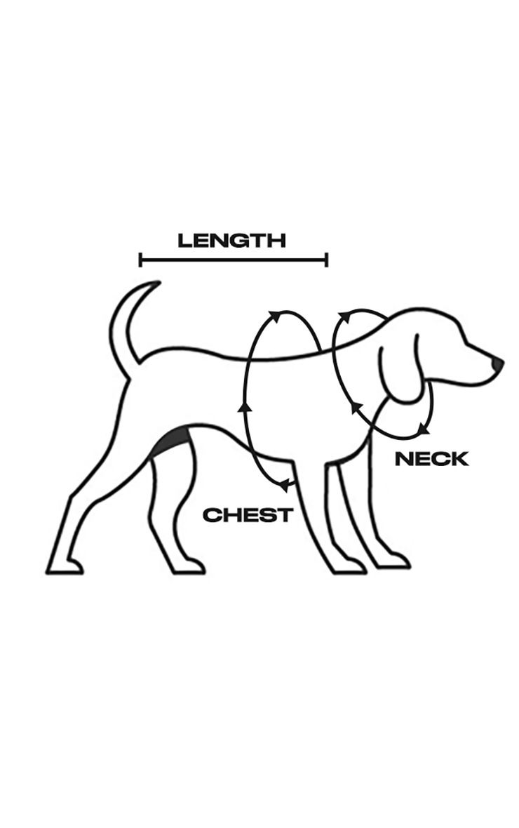 PRETTYLITTLETHING Cream Padded Dog Coat | Accessories | PLT USA