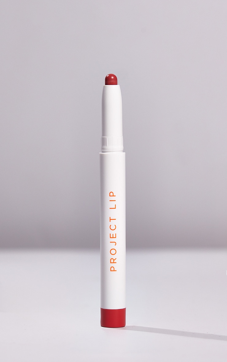 Project Lip Plump & Fill Lip Liner Flirt | Beauty | PrettyLittleThing AUS