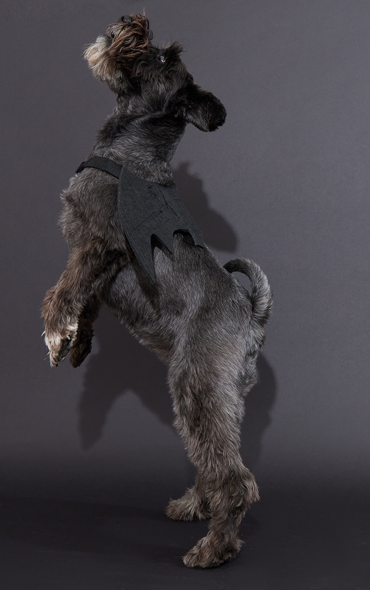 Dog Bat Wings Halloween Costume | Home | PrettyLittleThing AUS