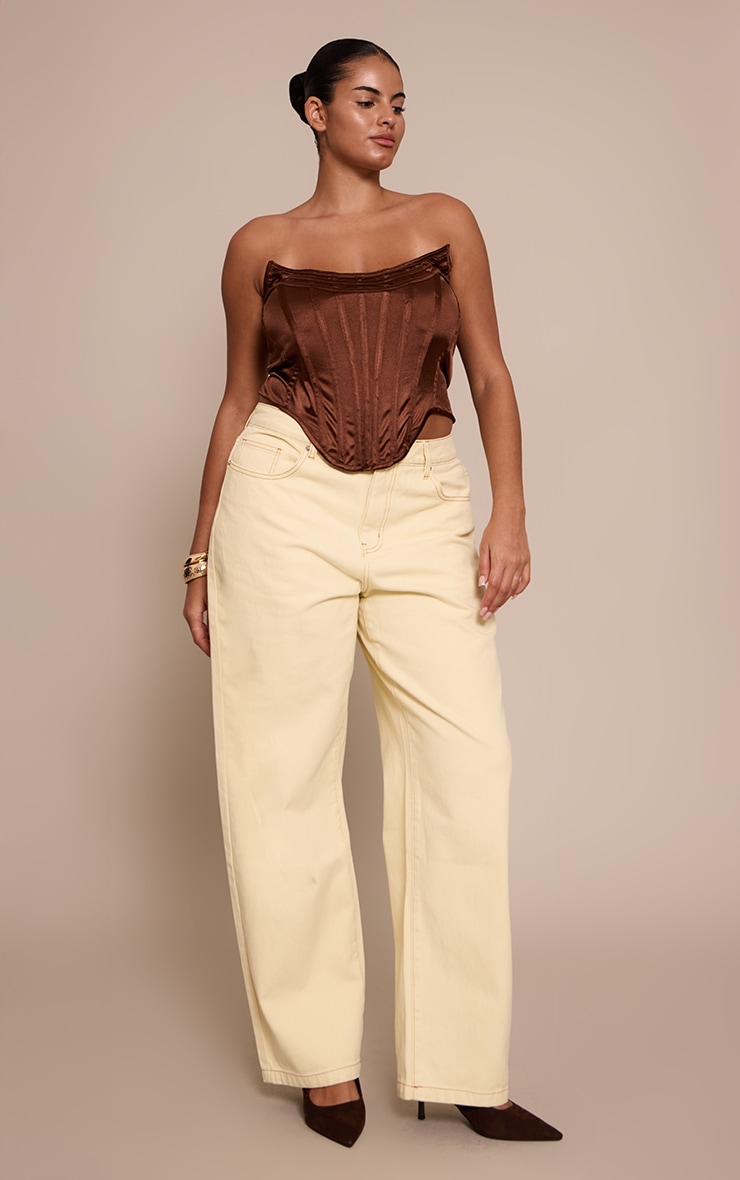 Plus Chocolate Satin Boning Detail Bandeau Corset | Plus Size ...
