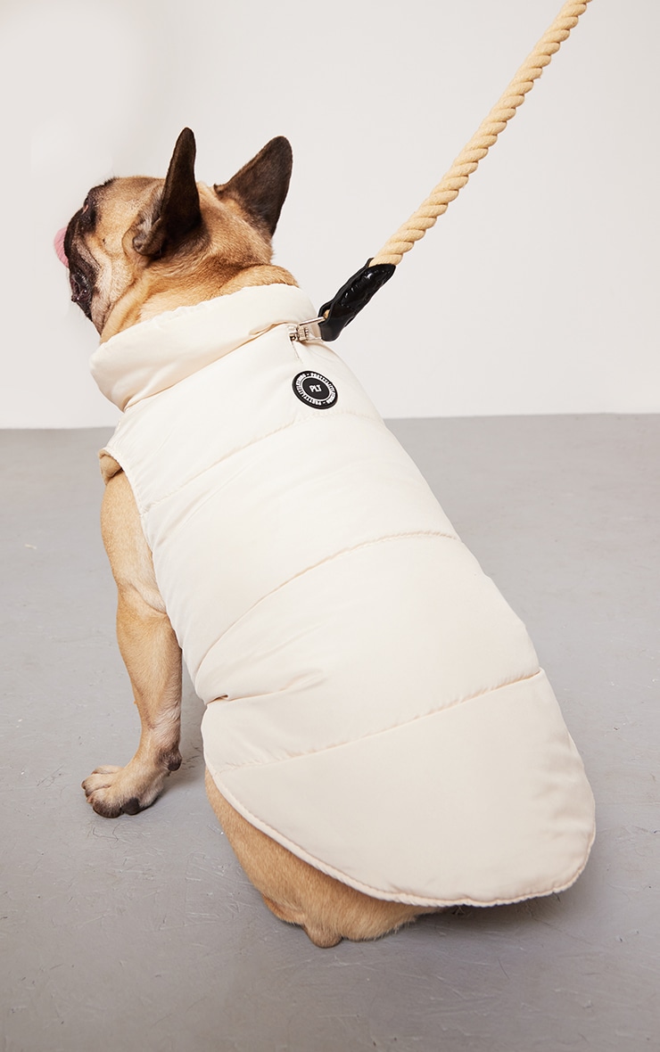 PRETTYLITTLETHING Cream Padded Dog Coat | Accessories | PLT USA